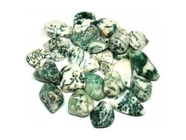 Tree Agate – Rainbow Minerals